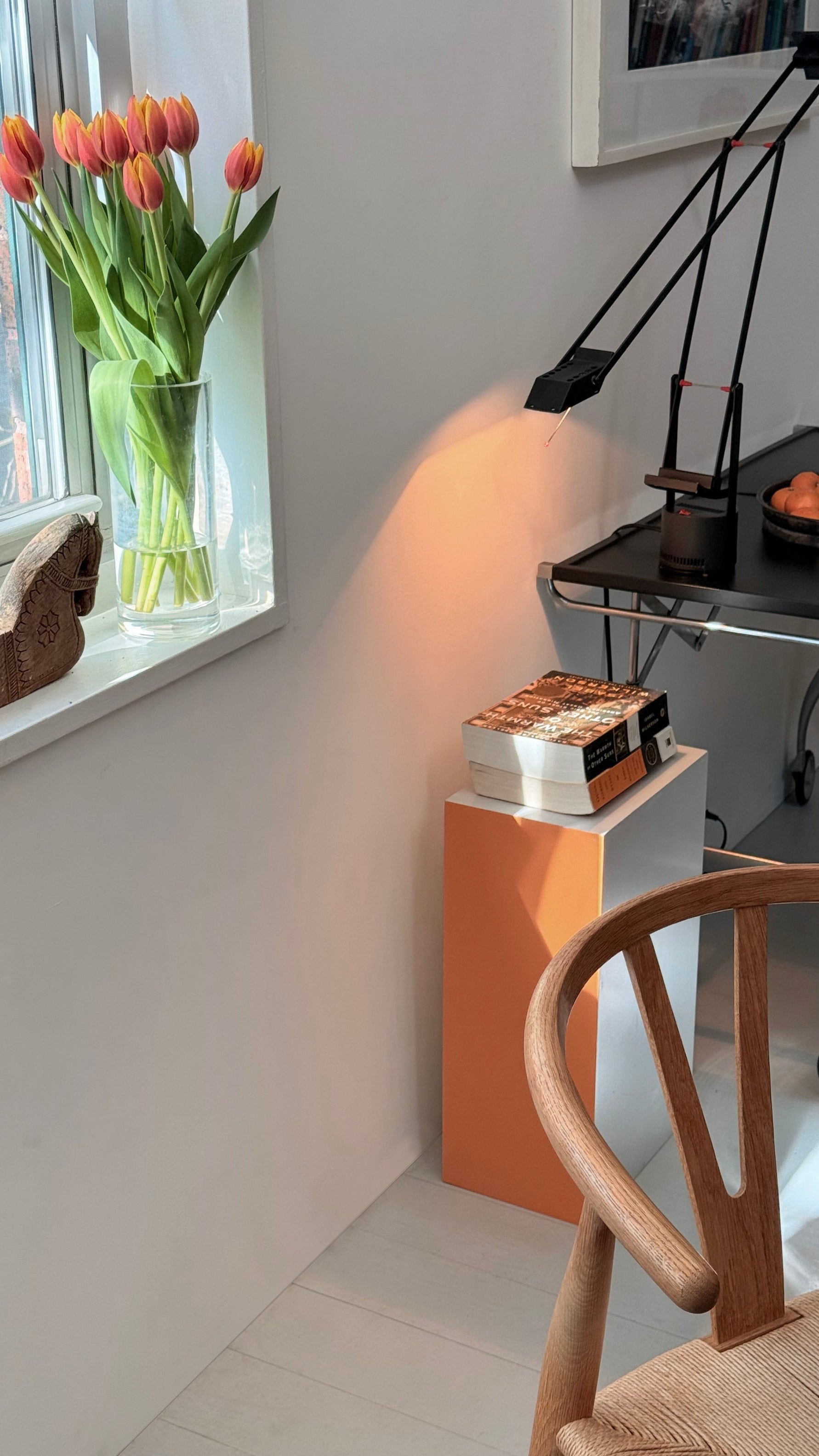 Ilan Rubin – ilan ilan